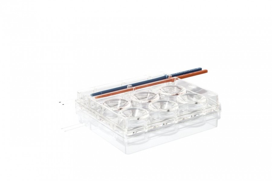 Kitazato - Productos - Vitagen